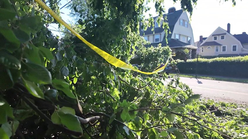 Storm leaves trail of damage across Westchester; fallen tree crushes ...