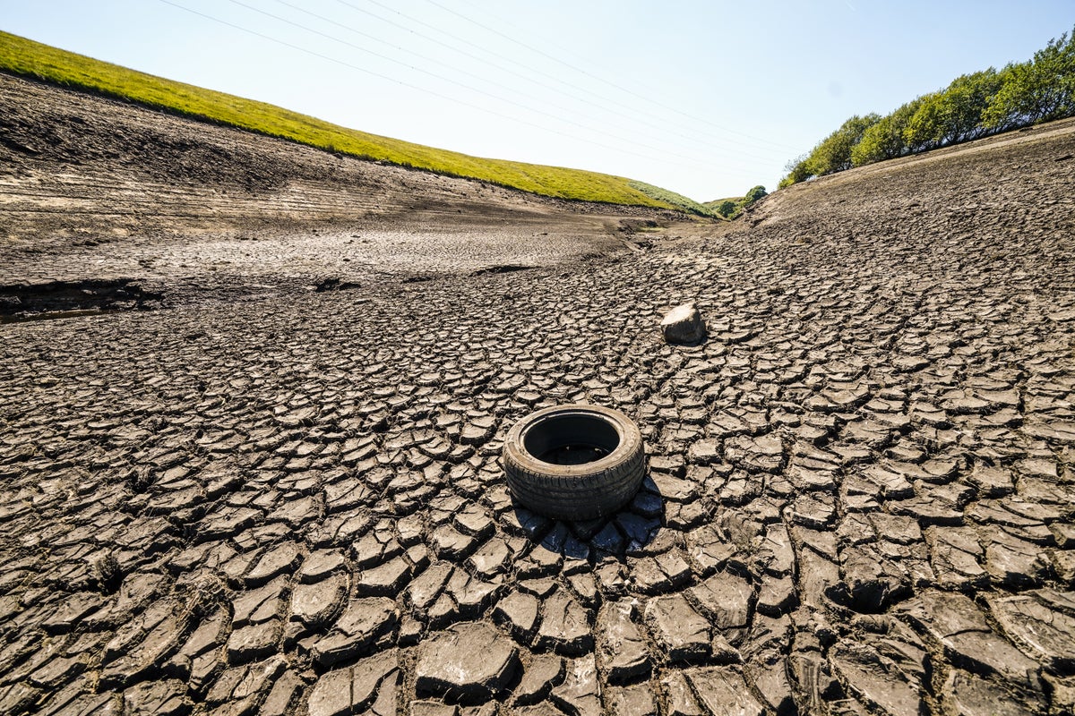 The UK food imports at risk from ‘El Nino’ heat stress this summer
