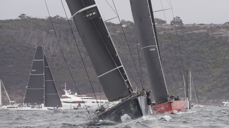 Why do yachts have black sails?