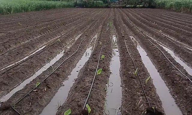 Rabkavi-Banhatti receives pre-monsoon showers; Mrigashira rain brings ...