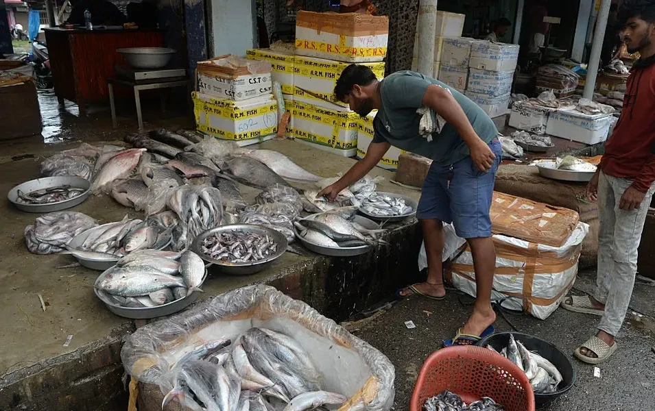 India to roll out product passport for seafood traceability