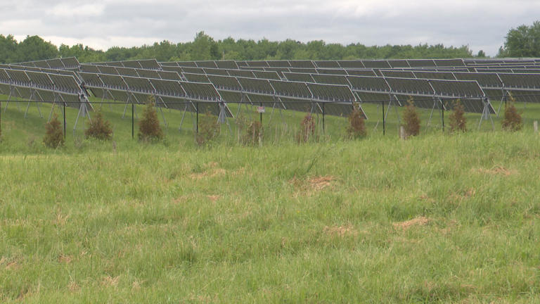 Solar farm fire in the town of Pamelia Sunday