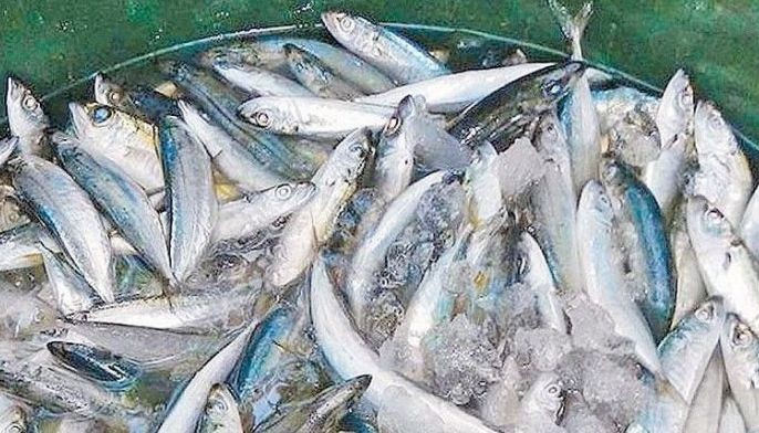 DA suspends import clearance for mackerel