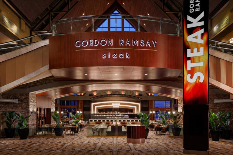 Shocked restaurant-goer spots mice running around celebrity chef’s ...