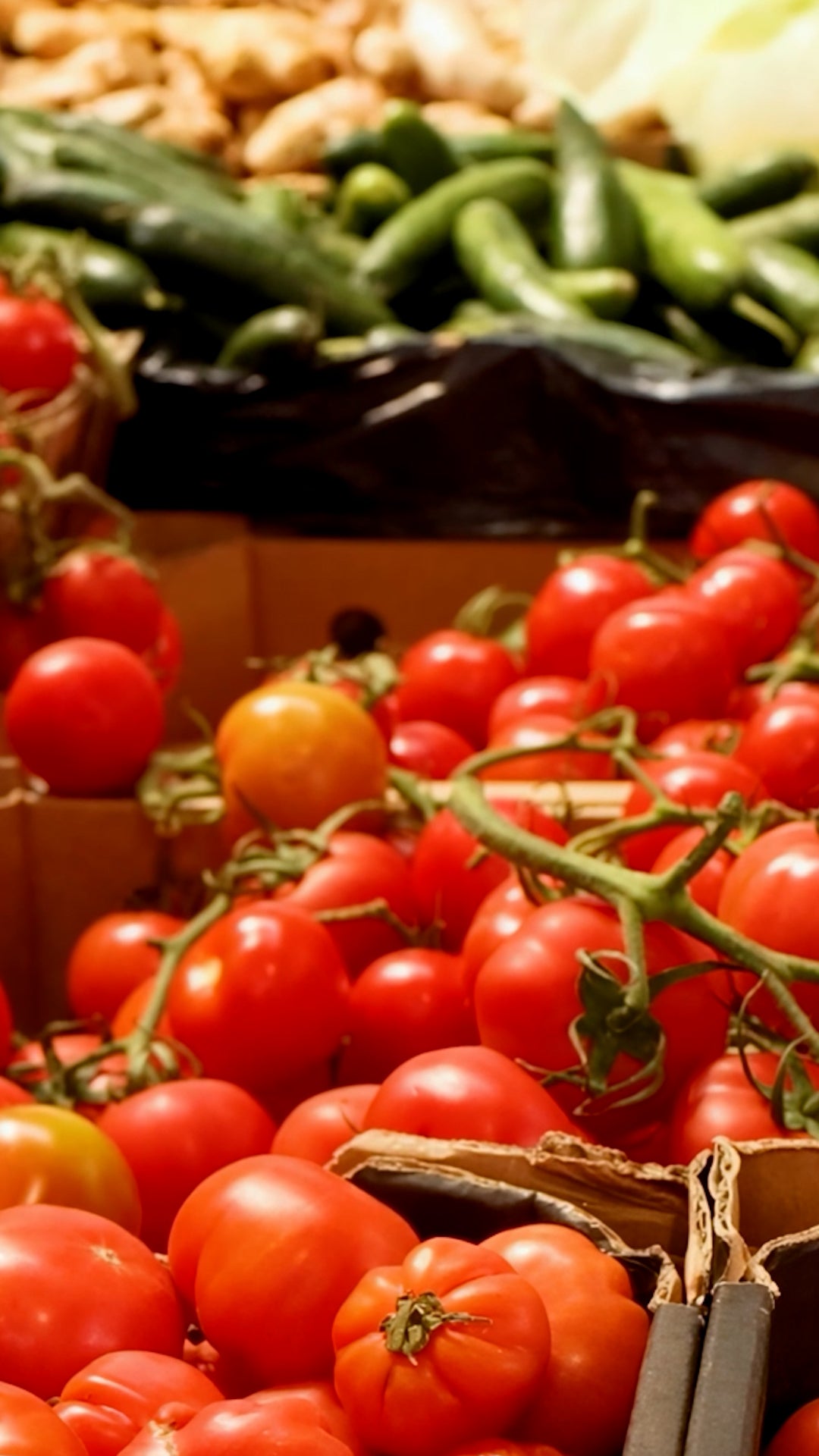 Tomato prices set record high