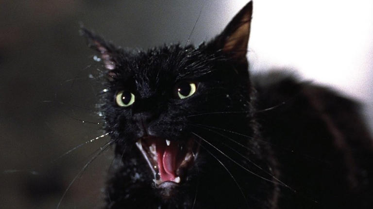 5 forgotten Stephen King adaptations that still hold up today