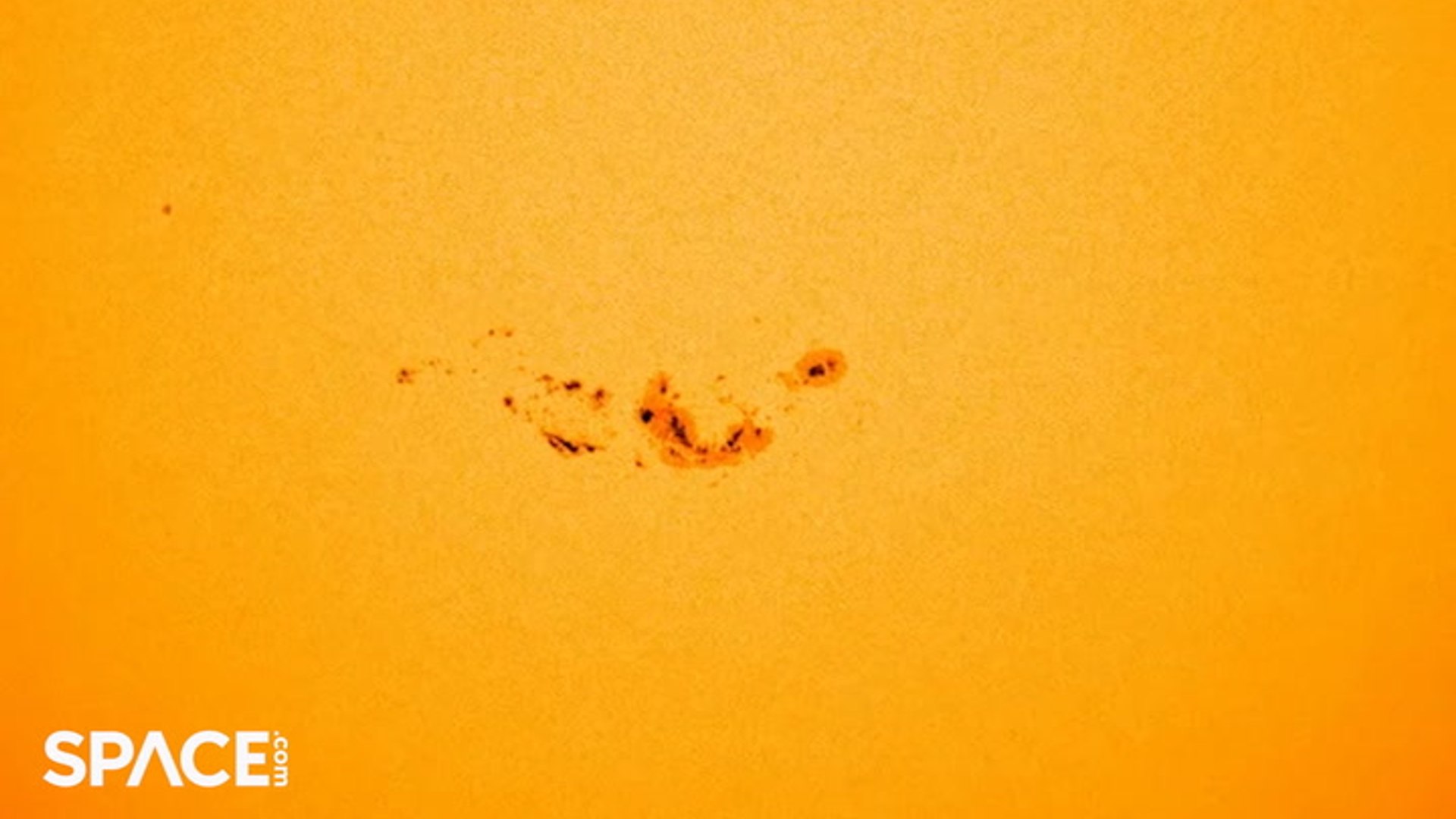 Time-lapse of sunspot AR3664 growing into a giant