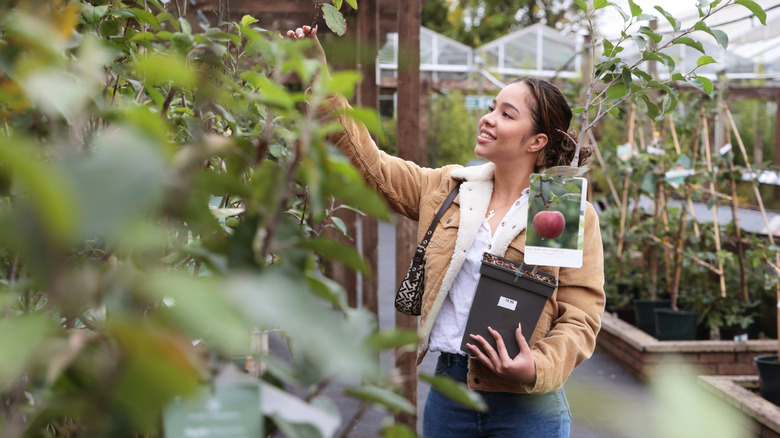 Fast-growing fruit trees you'll want to plant in your yard