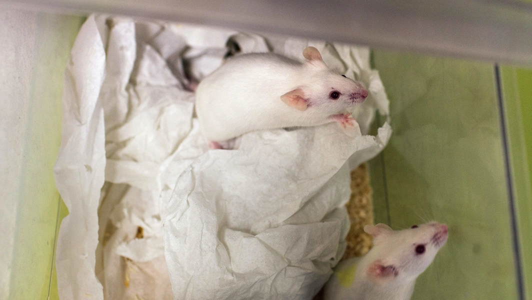 Scientists unveil gene-based clock predicting biological aging and ...