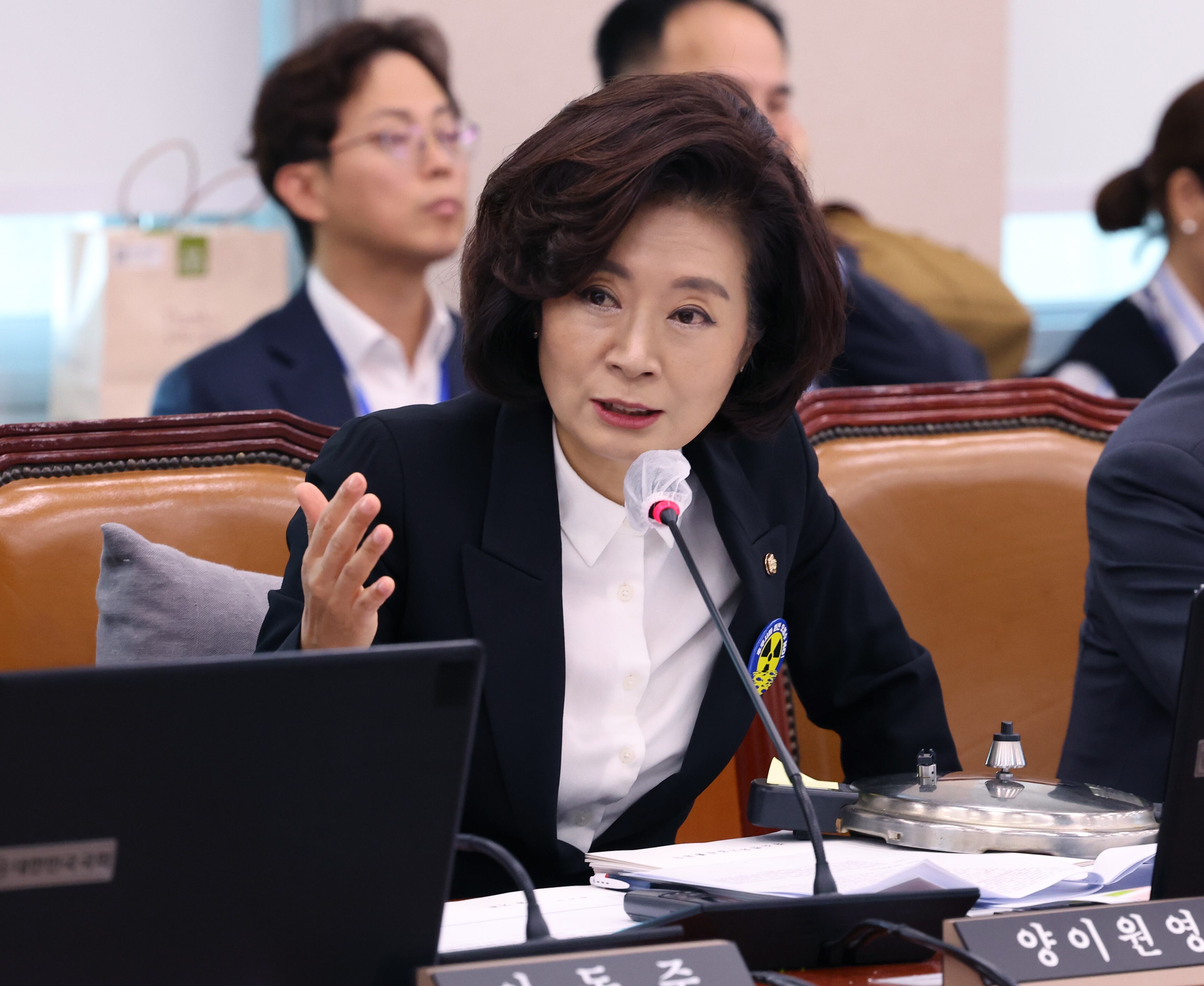 Exclusive: Anti-nuclear activist Yang seeks KEPCO auditor role