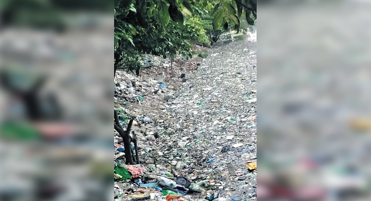 Barriers fail to stop plastic flood into Seegehalli Lake in Bengaluru