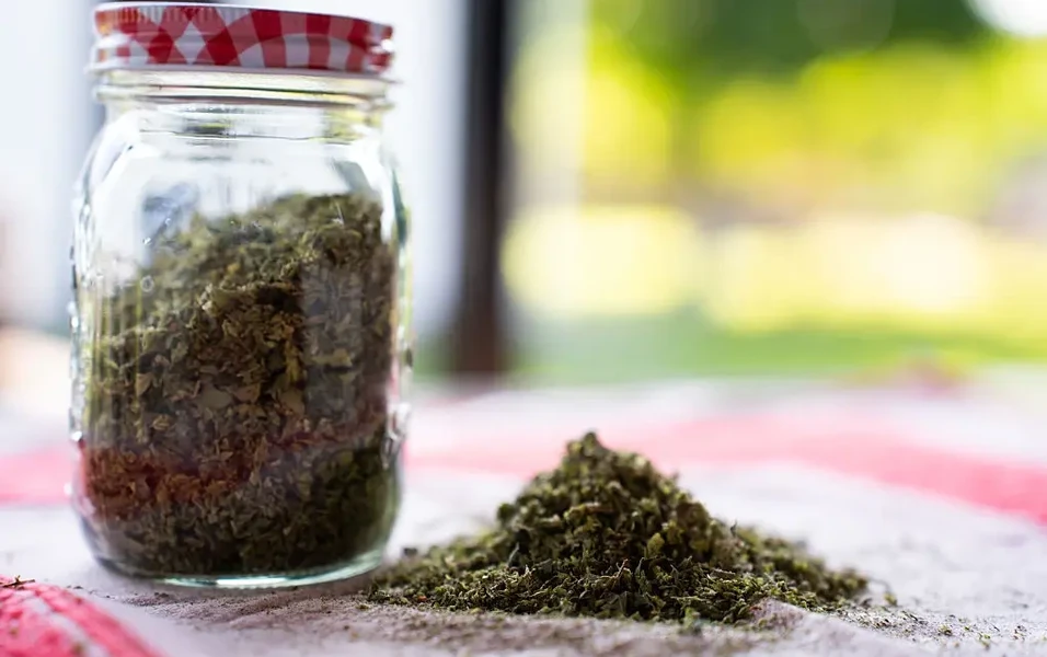 Master the art of food dehydration at home