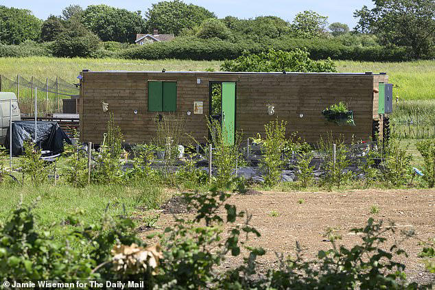Widow's fury as council orders her to tear down sheds on wasteland she ...