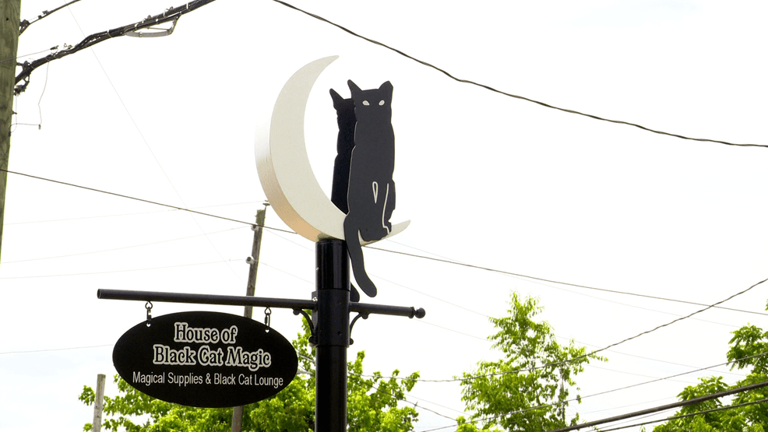 House of Black Cat Magic marks 3 years with anniversary pawty