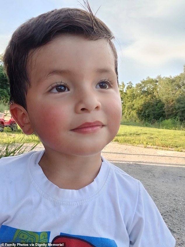 Boy, 3, writhed for his life before drowning and lying unconscious in ...