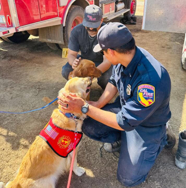 Disaster’s aftermath can linger long after flames are out, CAL FIRE ...