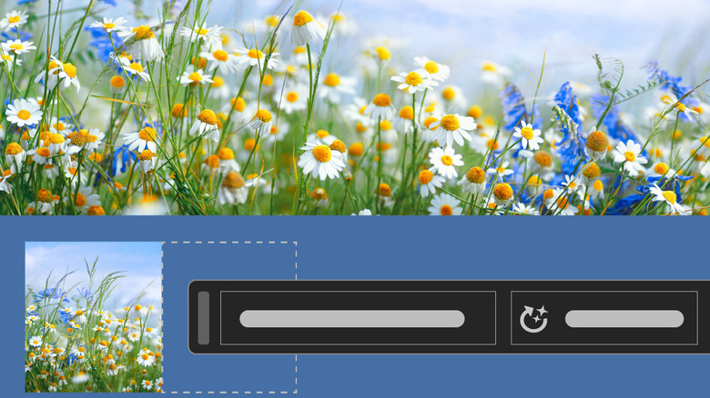 How to use Photoshop's generative fill feature (with examples)