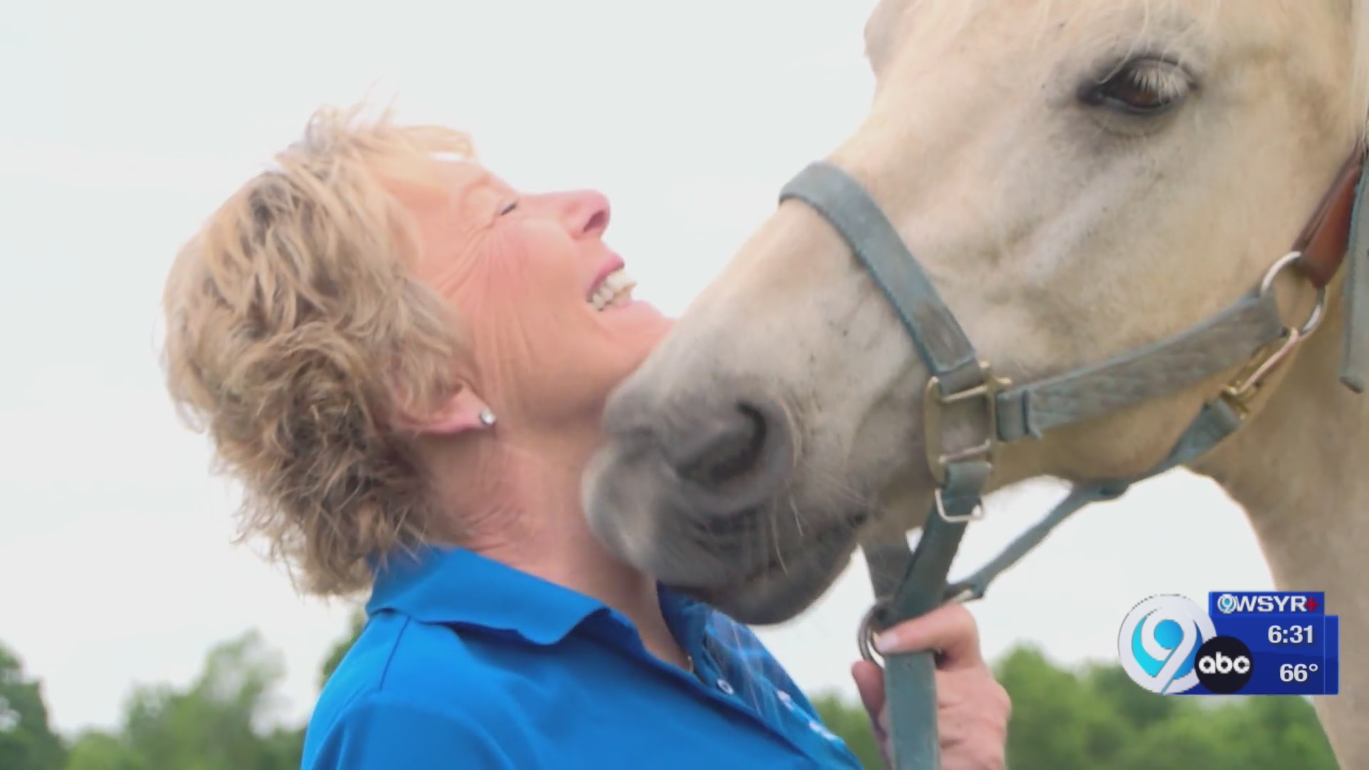 Horses recovering from Sandy Creek hoarding incident