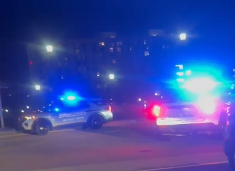 Newport News mother urges parents to check on their children following ...