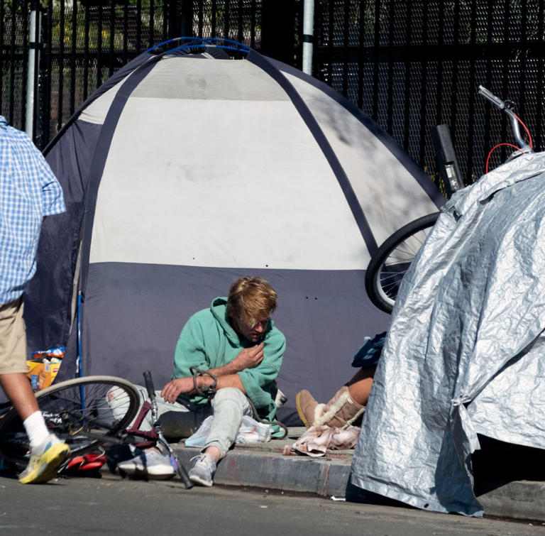 When the election is over, don’t forget Skid Row’s abused animals