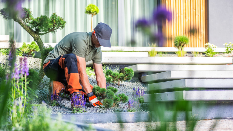 Not in the driveway or as mulch: The eco-friendly material making ...