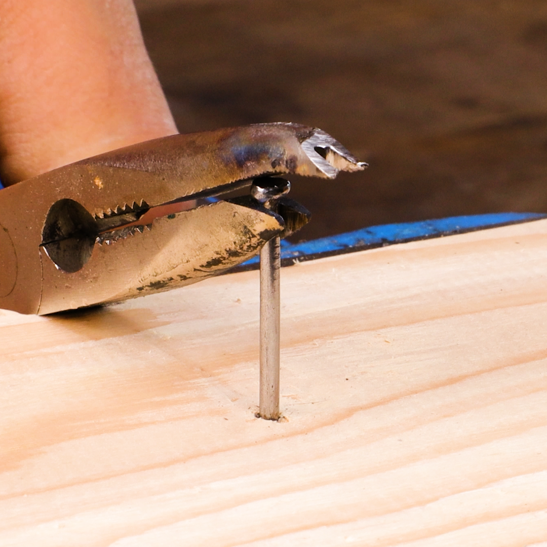 The ultimate DIY day adventure