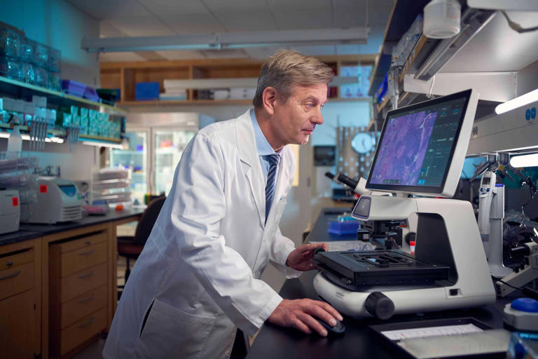 The key to cancer care? It may be a healthy gut, according to new research