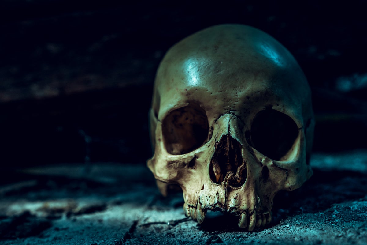 Mystery deepens after human skull discovered at Florida thrift store