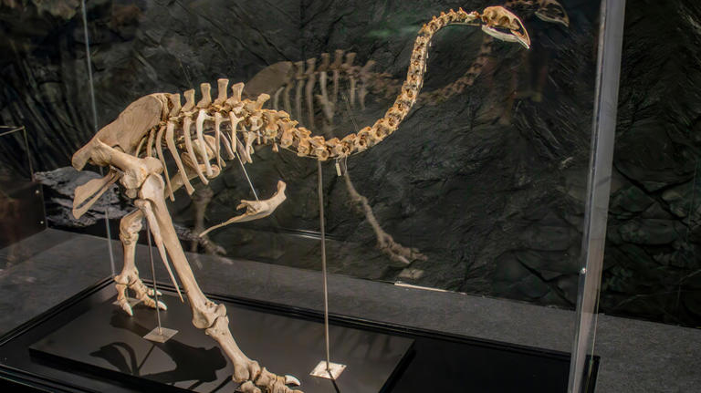 Scientists are using 3D printing to try and bring back extinct animals