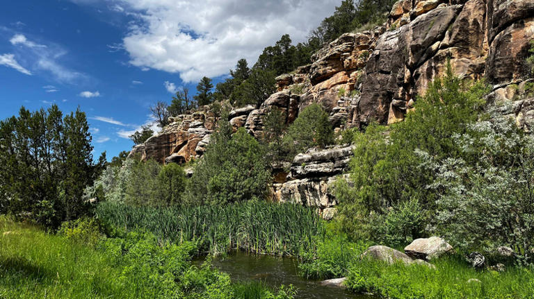 Between Albuquerque and Flagstaff is New Mexico's state park with ...