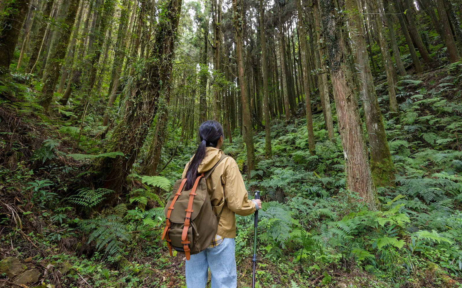 Missing hiker case highlights importance of preparation, survival skills