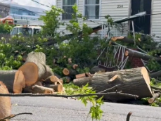 Hundreds are without power in Orange after storm brings down tree, wires