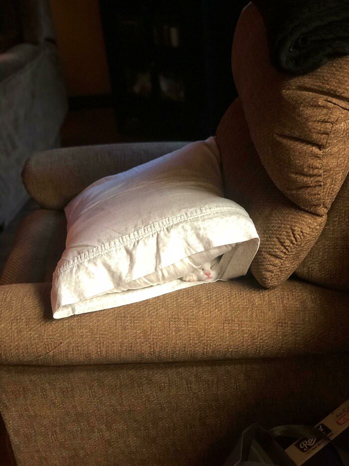 54 photos capturing funny details people didn’t notice right away