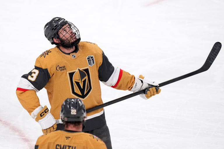 Golden Knights' Brayden McNabb earns raves after playing with 2 dozen ...