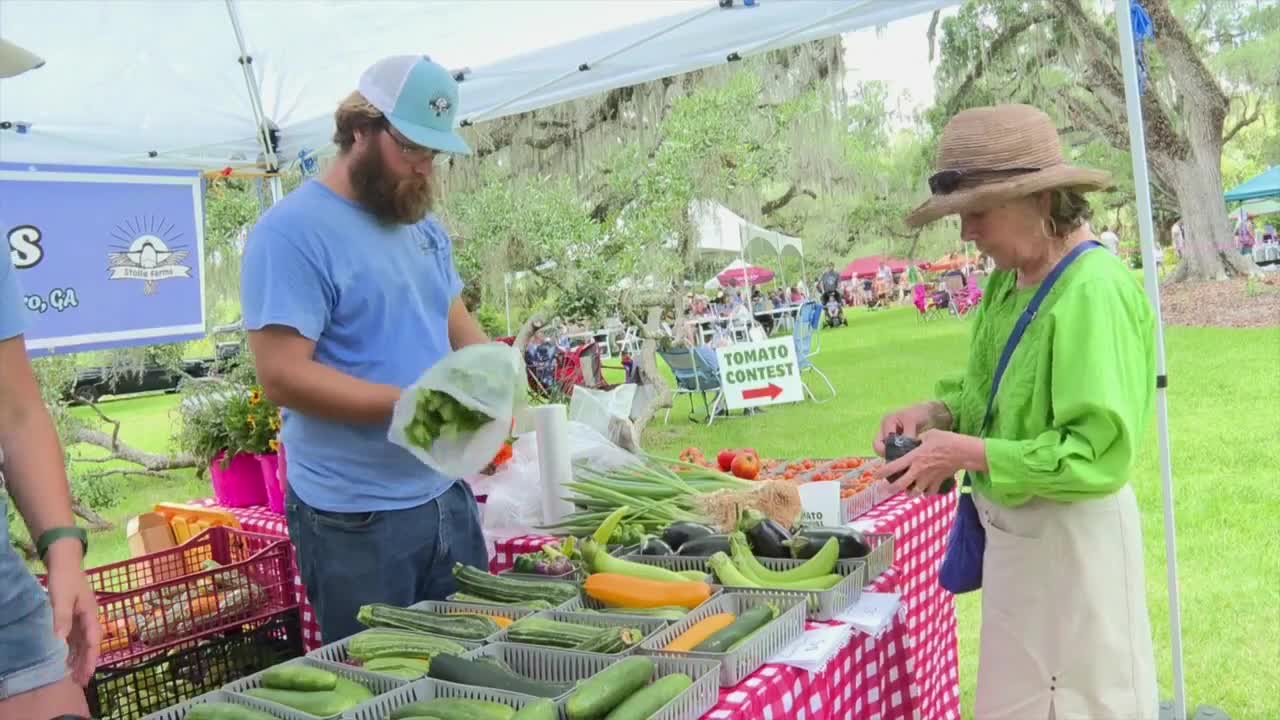 Tomato Festival sparks conversation about the future of farming in ...
