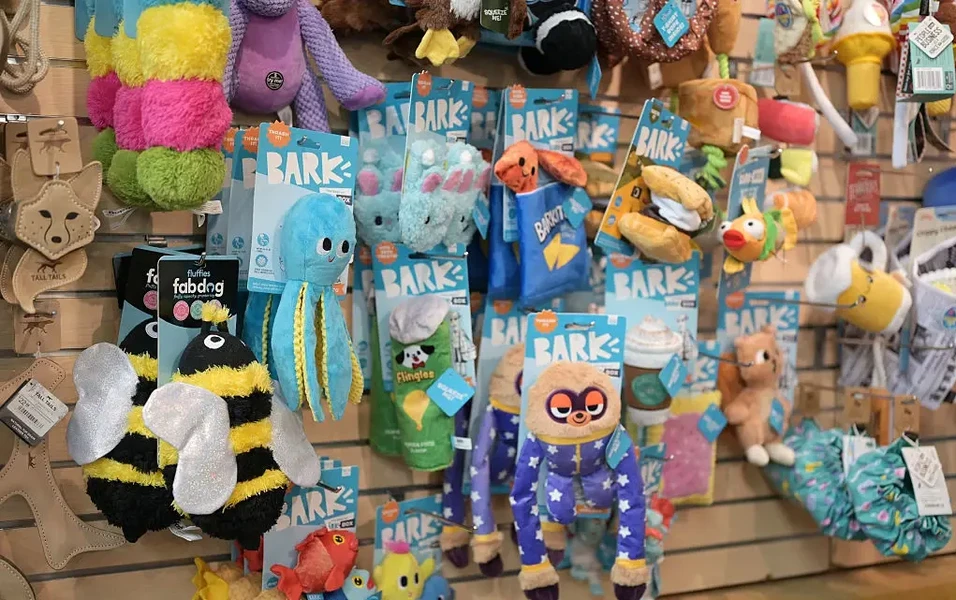 Smart chew toy choices for happy, safe pups