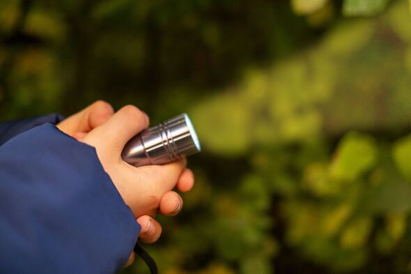 Gardeners urged to take torch into garden this June for 'early warning ...