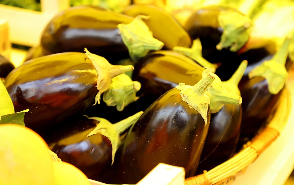 Eggplant magic from market to table