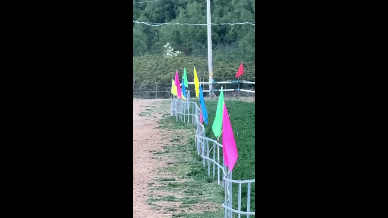 Woman loses grip and falls while hanging from running horse in Gansu, China