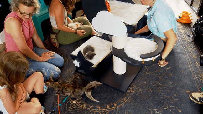 House of Black Cat Magic marks 3 years with anniversary pawty