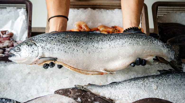 8 foods that have more omega-3 than salmon
