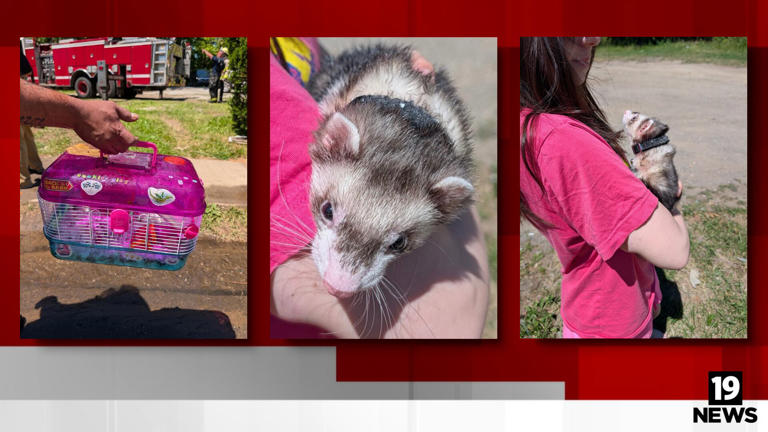 Firefighters rescue 15 people, 4 pets from Cleveland electrical fire