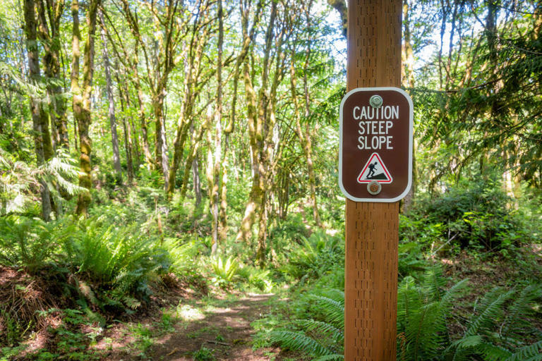 New loop trail gives Pierce County hikers first access to 50 acres of ...