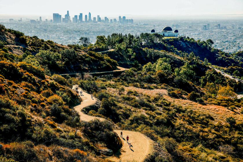 Hollywood Hills hiker dies following rescue attempt