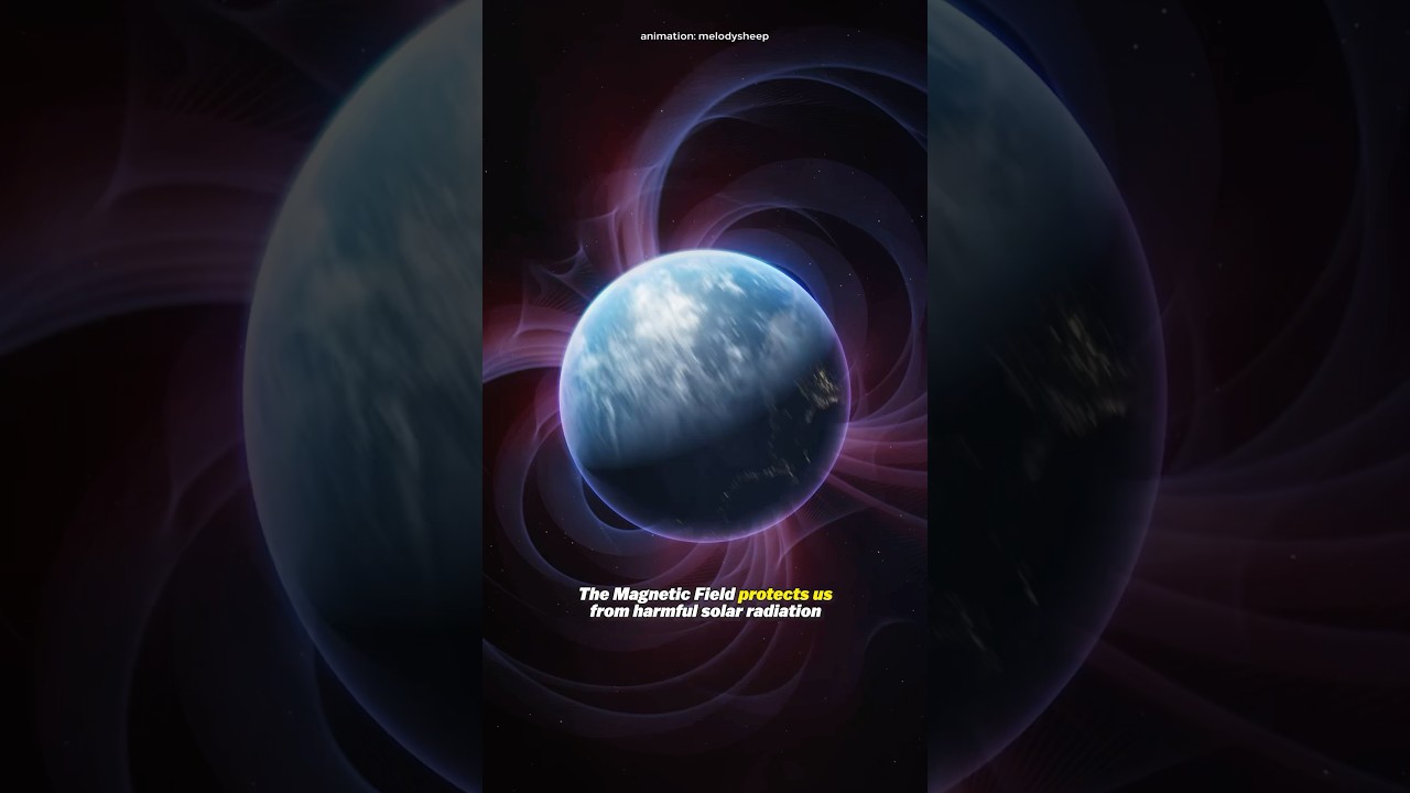 Could we survive without Earth's magnetic shield?