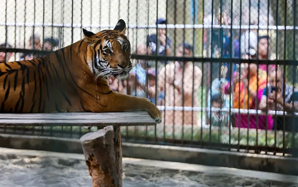 Zoos face welfare and conservation crossroads