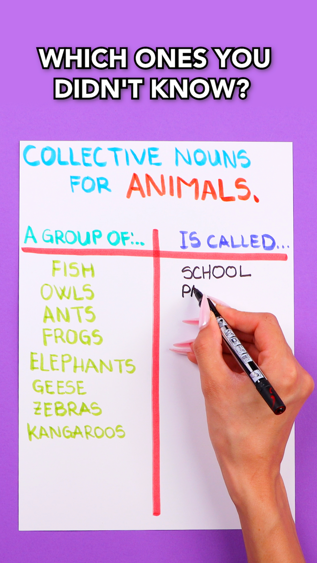 The fascinating names for animal groups