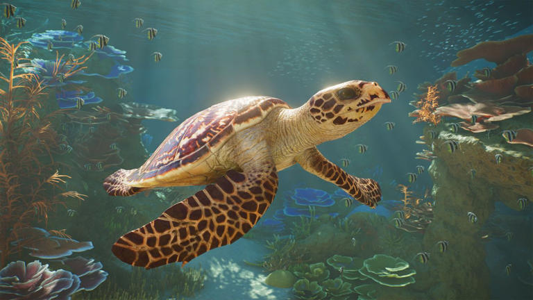 Planet Zoo 2's gameplay reveal shows how to manage the new aquariums ...