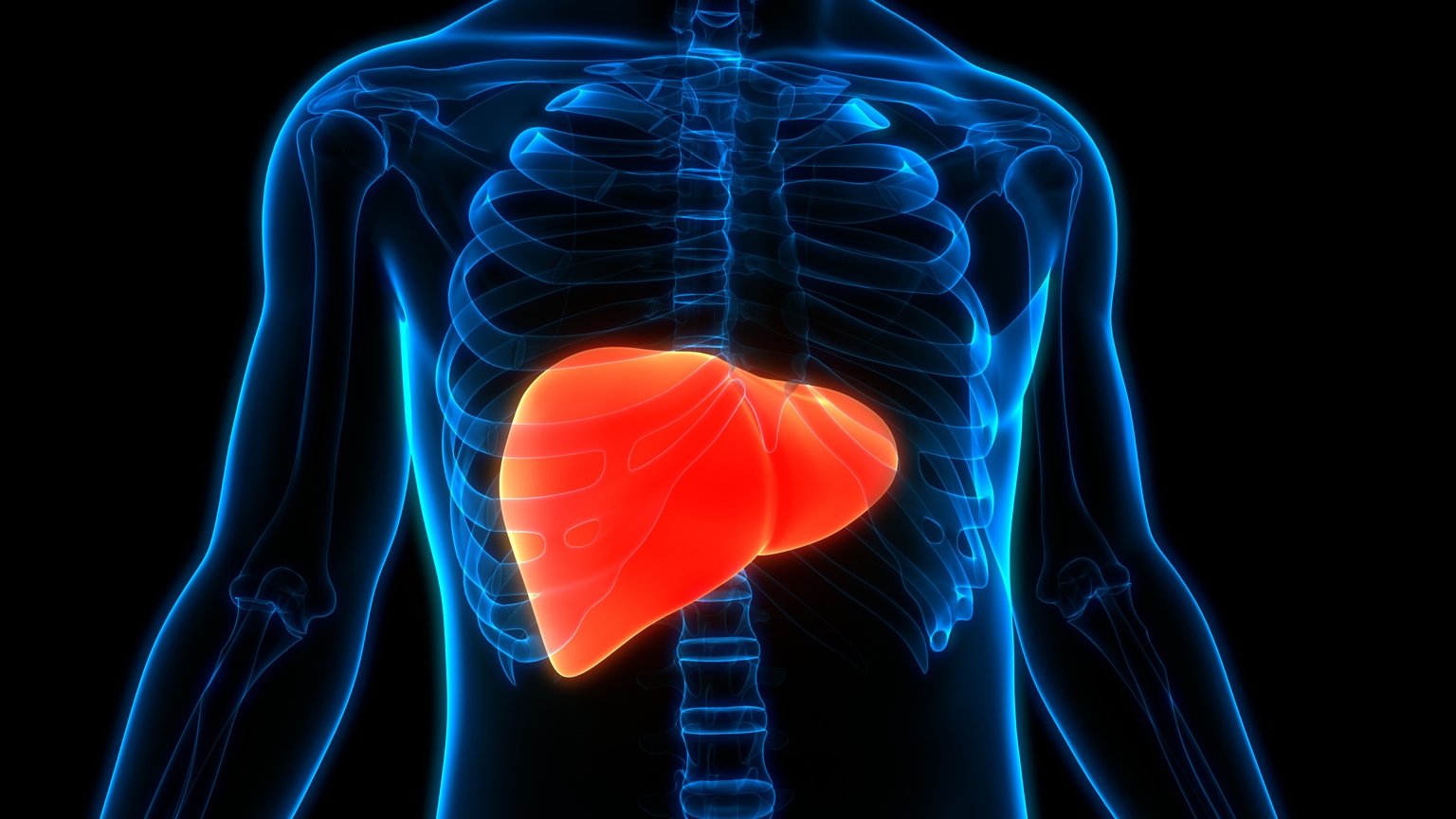 Boehringer's obesity drug cuts harmful belly and liver fat in late ...