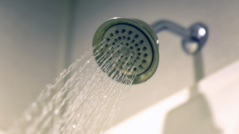 Why a shower head filter may not be the solution to your problems